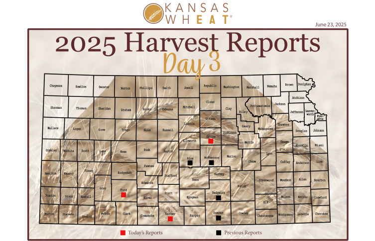 Day 3, Kansas Wheat Harvest Report, 2025 | Wichita County Native Sun