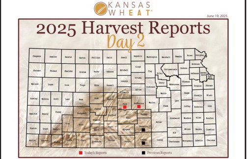 Day 2, Kansas Wheat Harvest Report, 2025 | Wichita County Native Sun