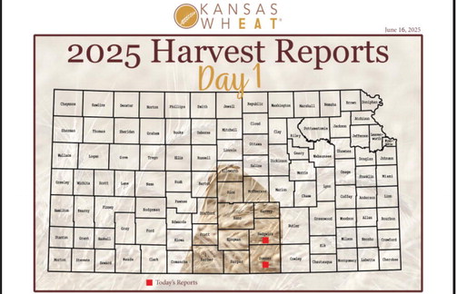 Day 1, Kansas Wheat Harvest Report, 2025 | Wichita County Native Sun